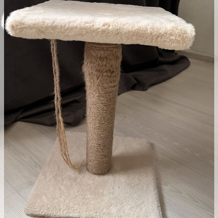 Когтеточка