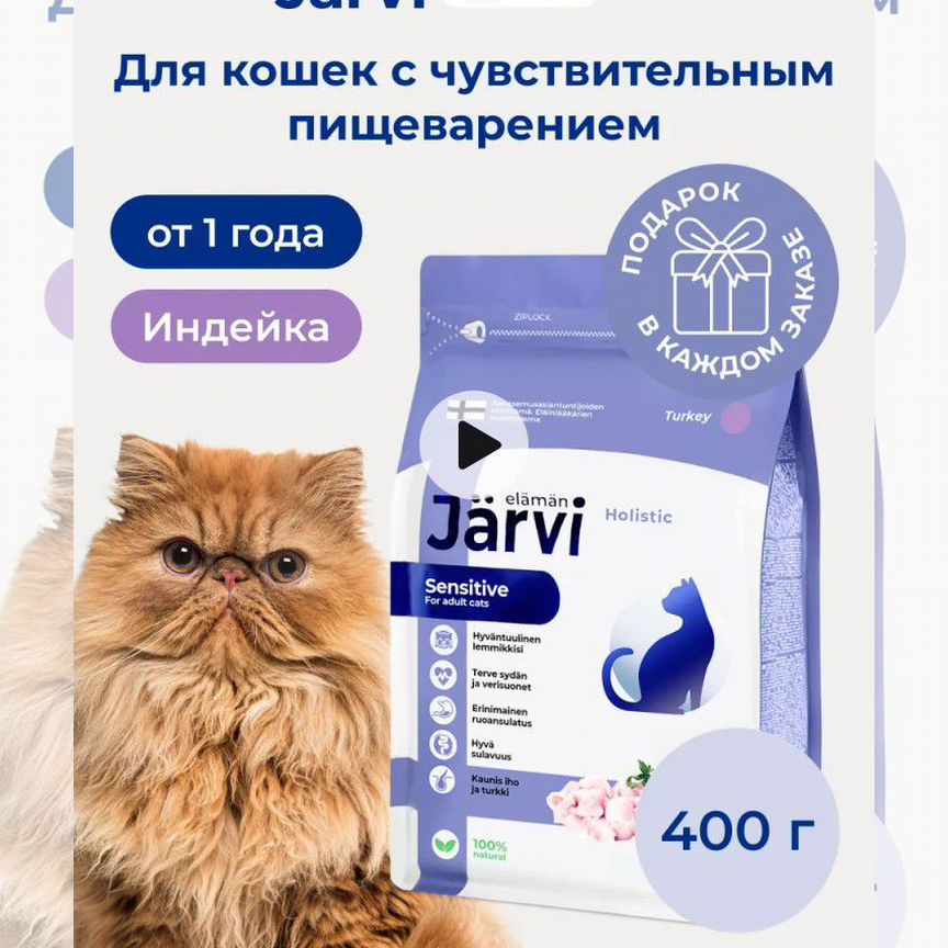 Сухой корм для кошек и котят