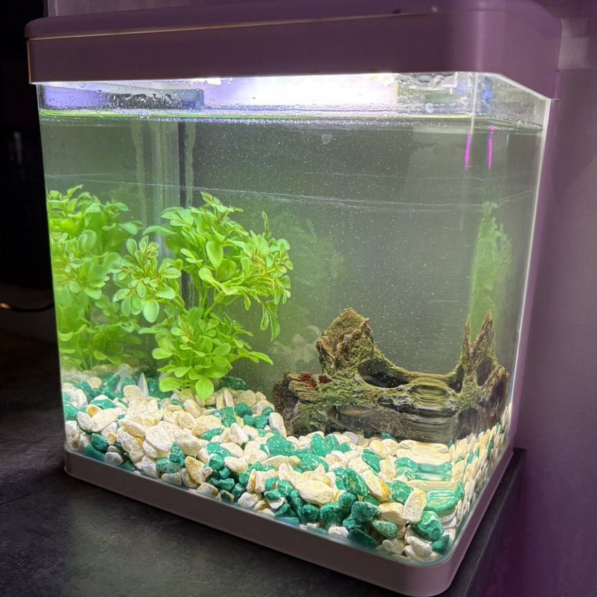 Аквариум 8-9 литров с подсветкой