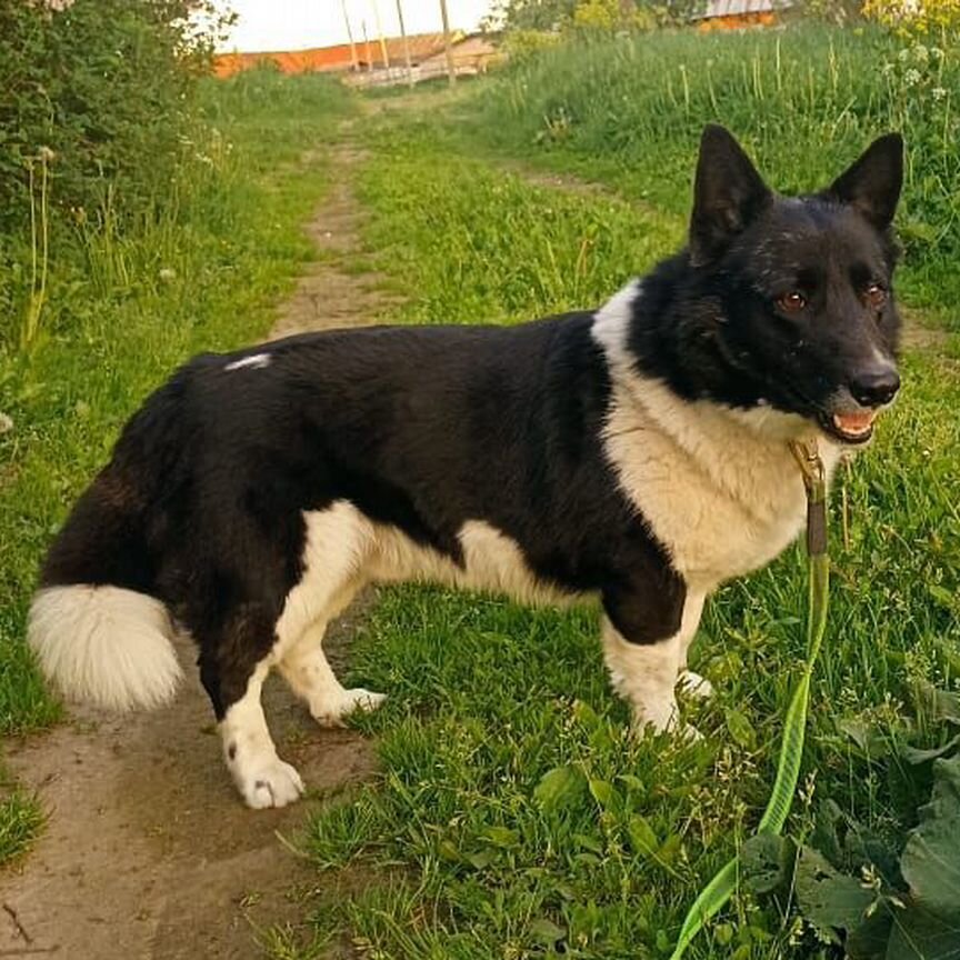 Михаил ищет семью