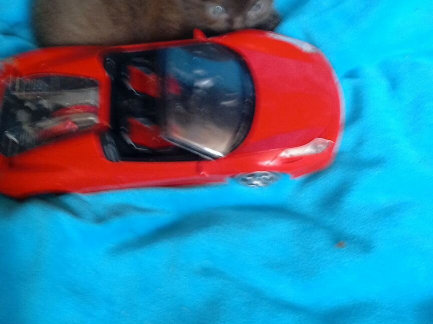 Шоколадная плюшевая красотка