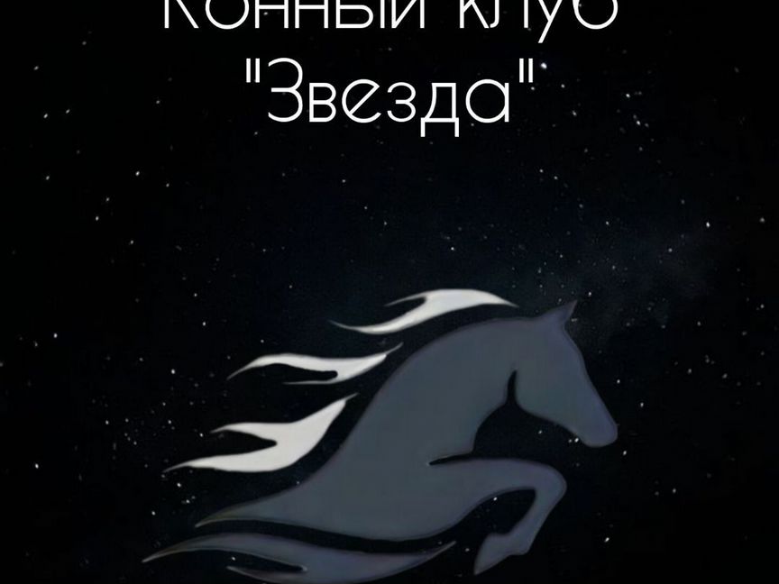 Конные прогулки