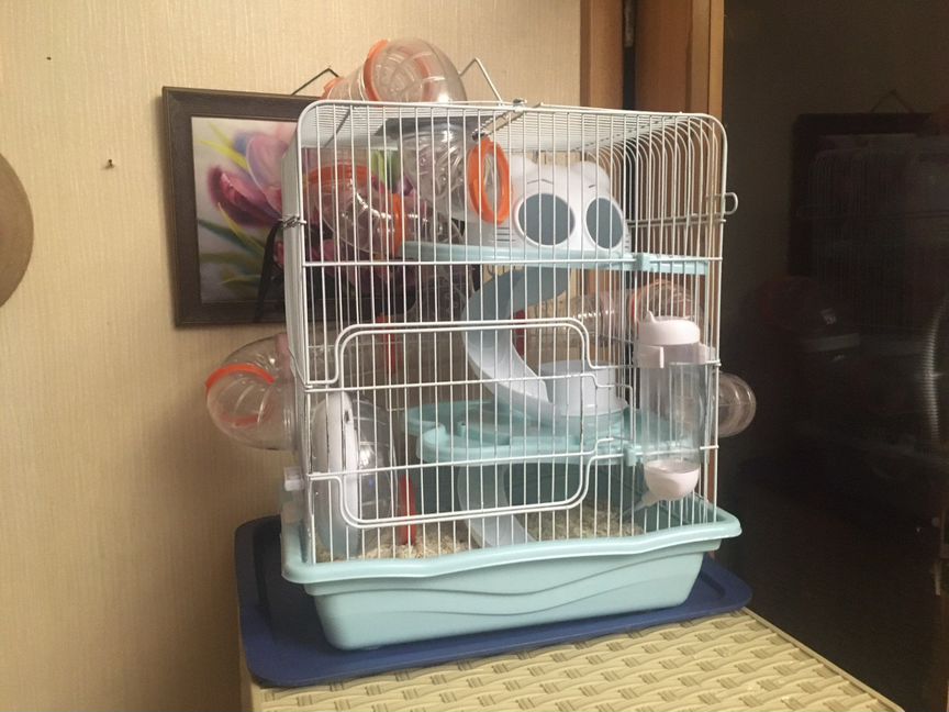 Golden Cage клетка для мелких грызунов с туннелями