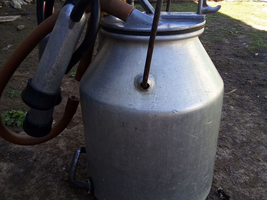 Доильный аппарат для коров бу