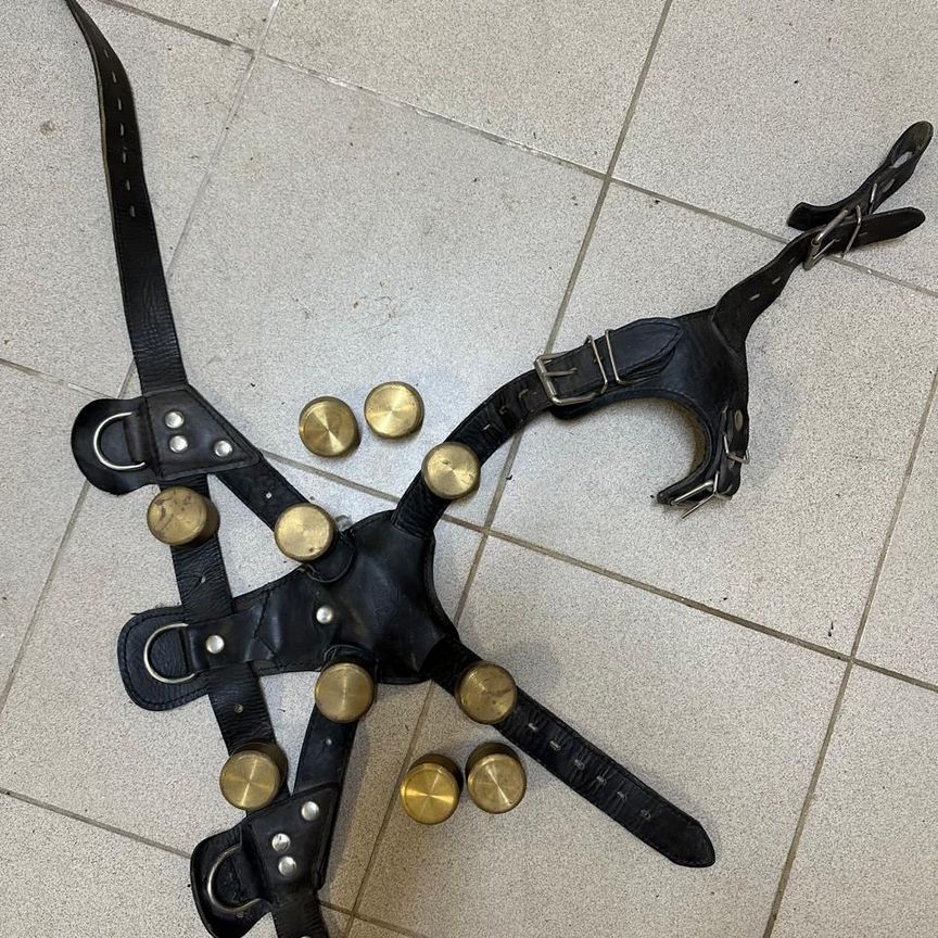 Шлейка с утяжелением для собак