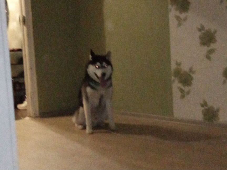 Вязка кабель