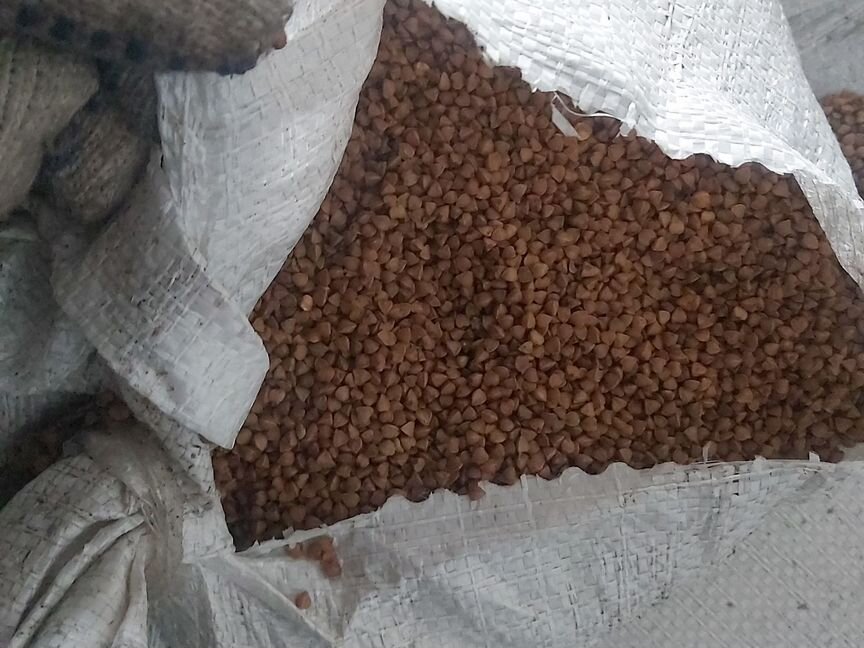 Корма для животных