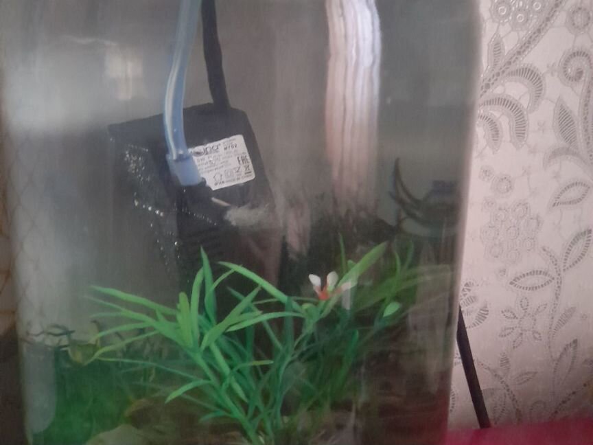 Мини Аквариум, готовый