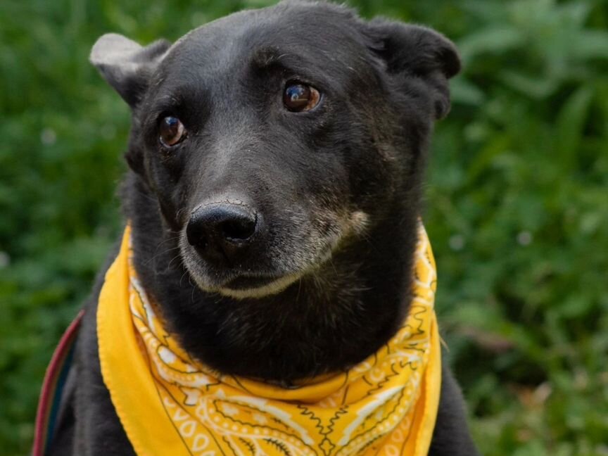 Жизнь-ожидание