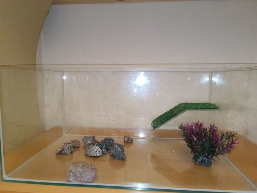 Аквариум для черепах