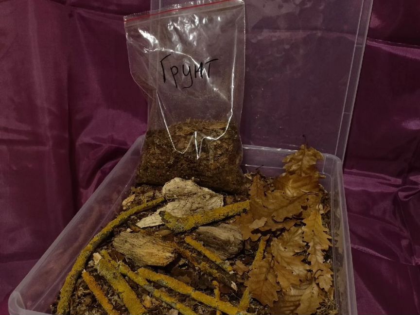 Набор для содержания мокричек и кивсячков