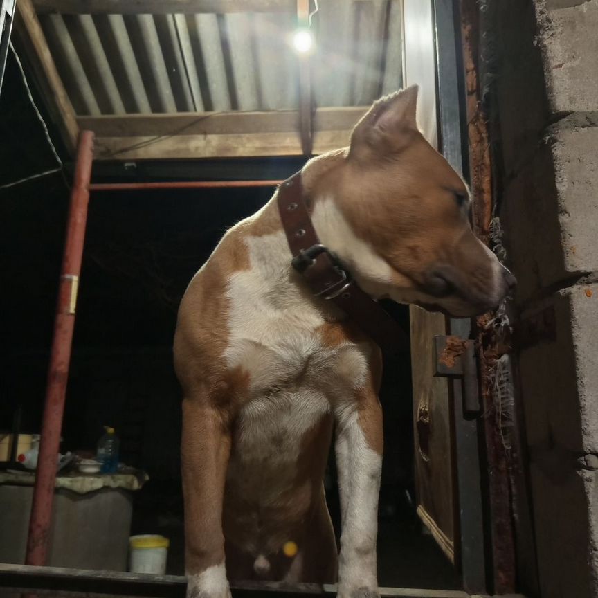 Вязка стаффа