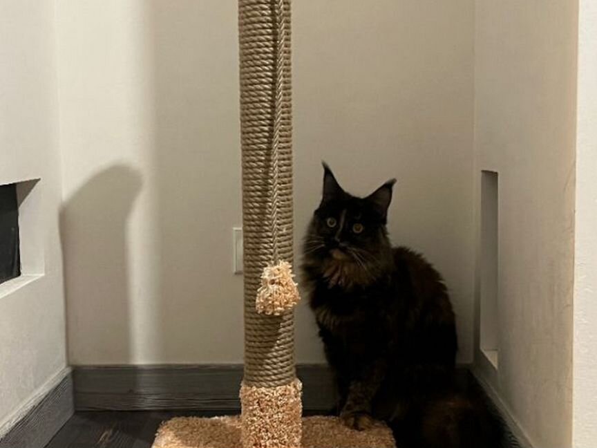 Когтеточка 80 см