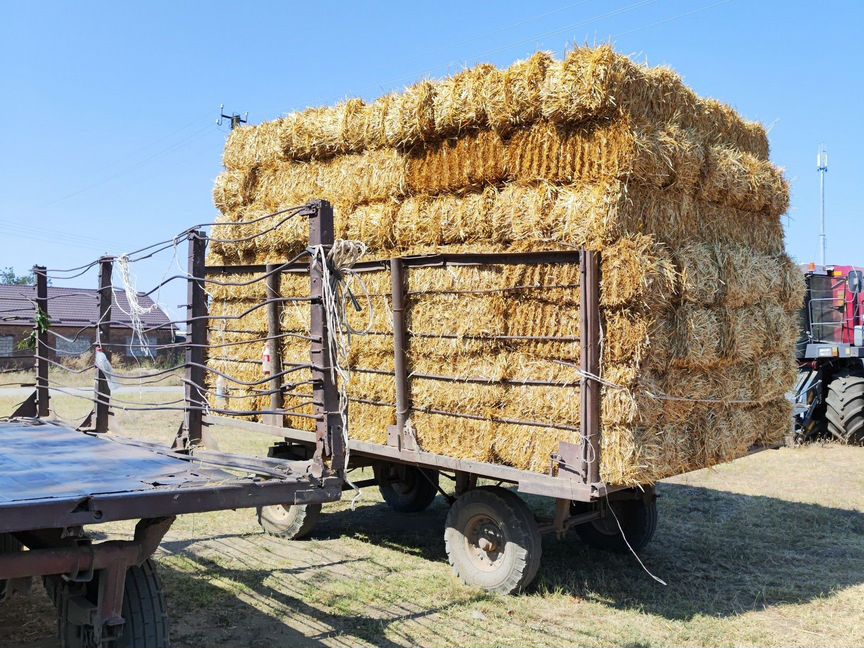 Солома в тюках с доставкой