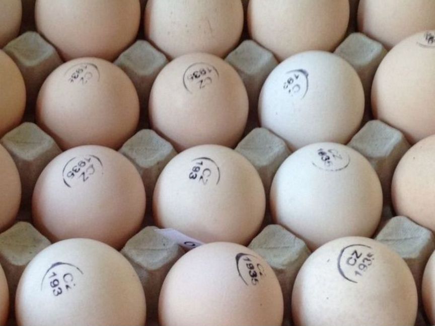 Кобб 500 Чехия