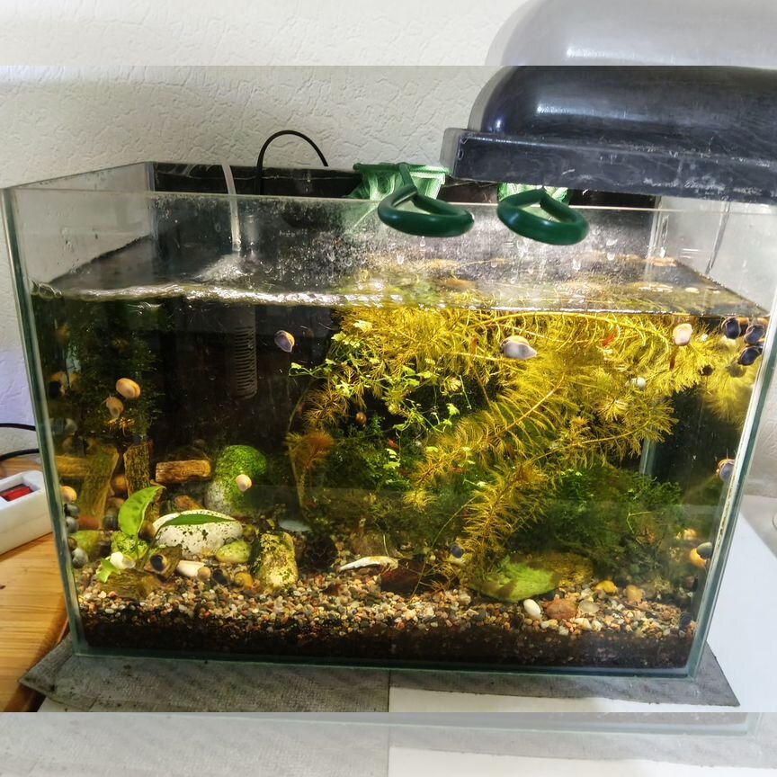 Аквариум 35л с рыбками и оборудованием