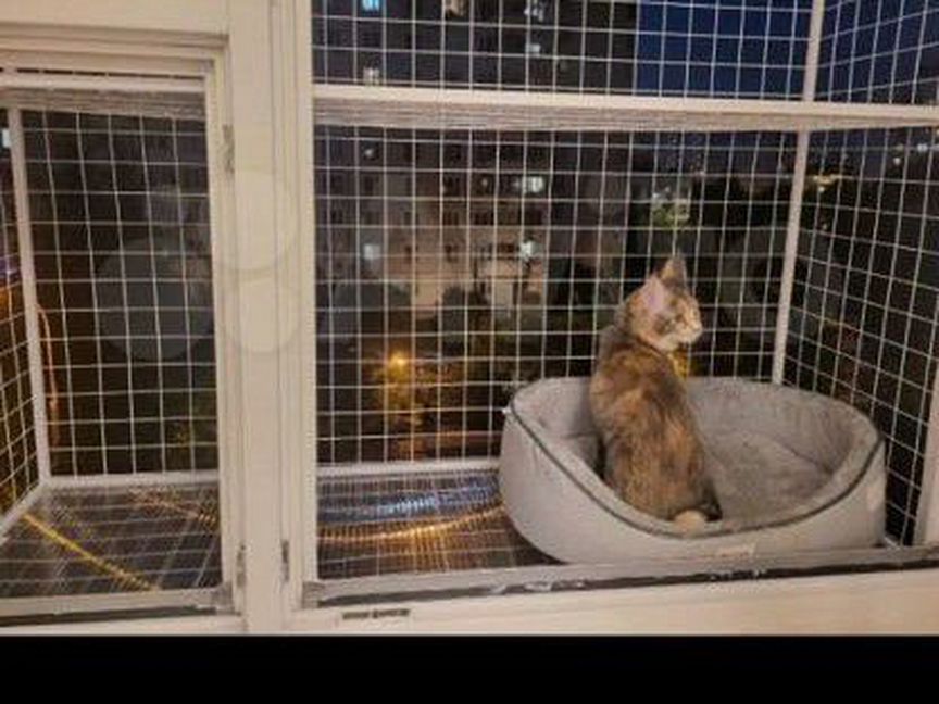 Балкон для кошек