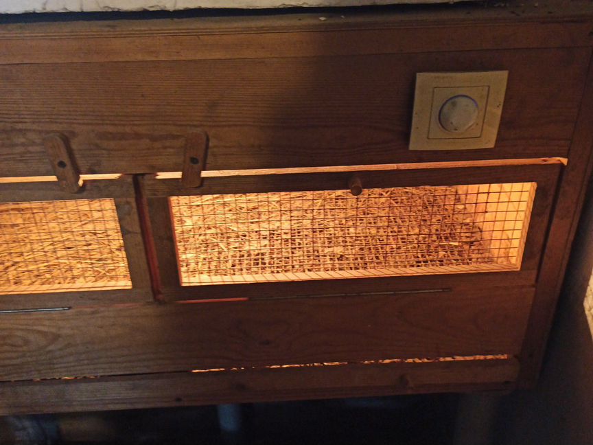 Брудер для цыплят бу