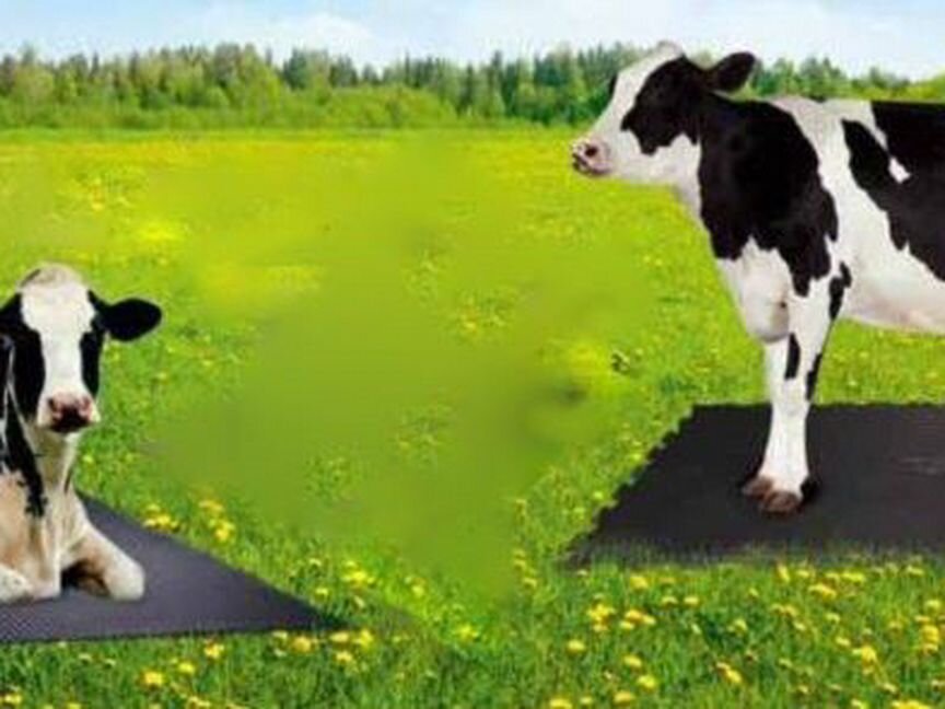 Маты животноводческие крс собака конь