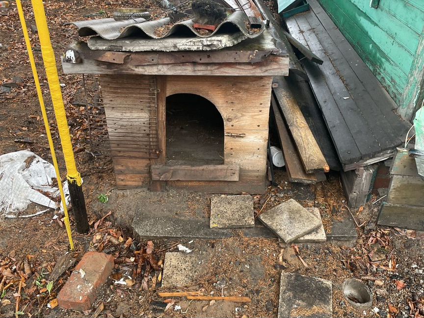 Будка для собаки