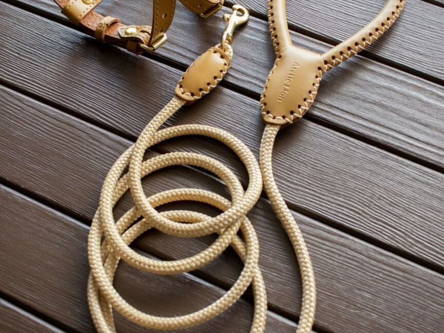 Шлейка и поводок Arctic Lion