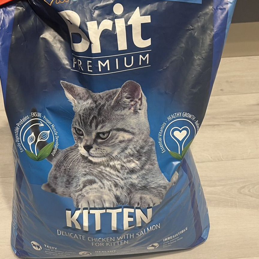 Сухой корм для котят brit