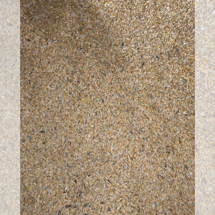 Зерноотходы