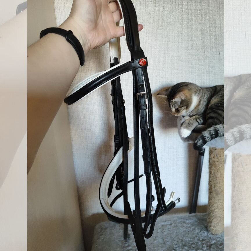 Оголовье мундштучное Kieffer full/xfull