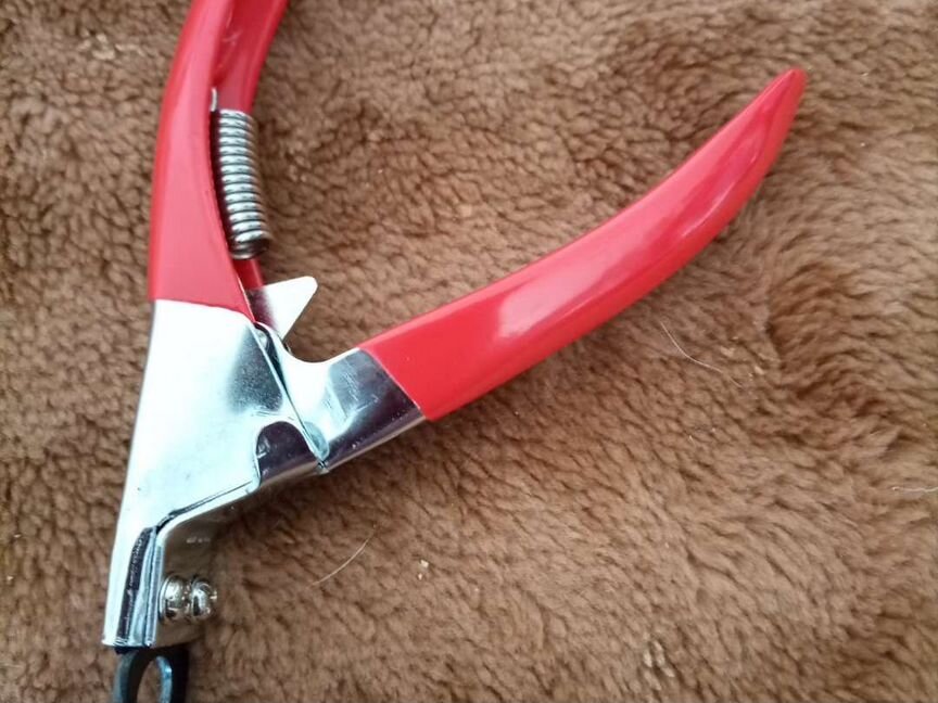 Когтерезка гильотина для собак и кошек