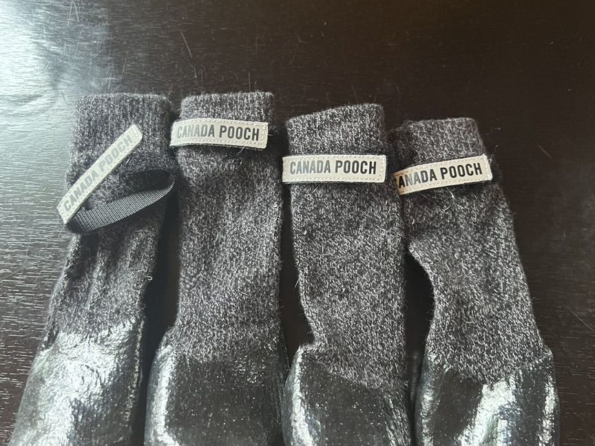 Гольфы и шлейка для собаки США