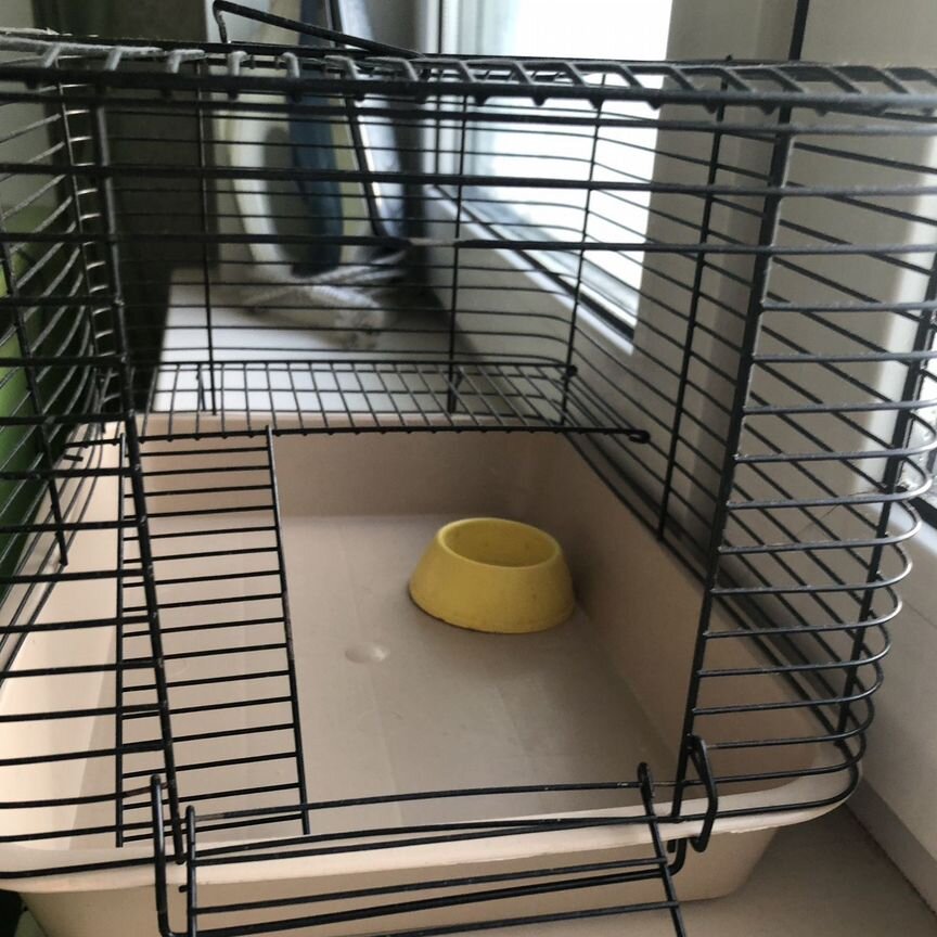 Клетка для грызунов бу