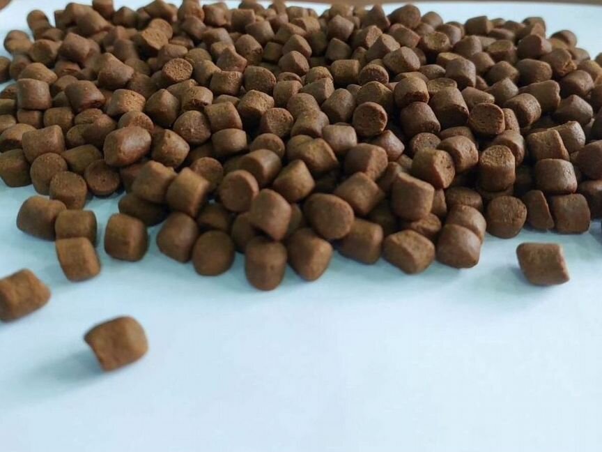 Корм для рыб форель осетр карп