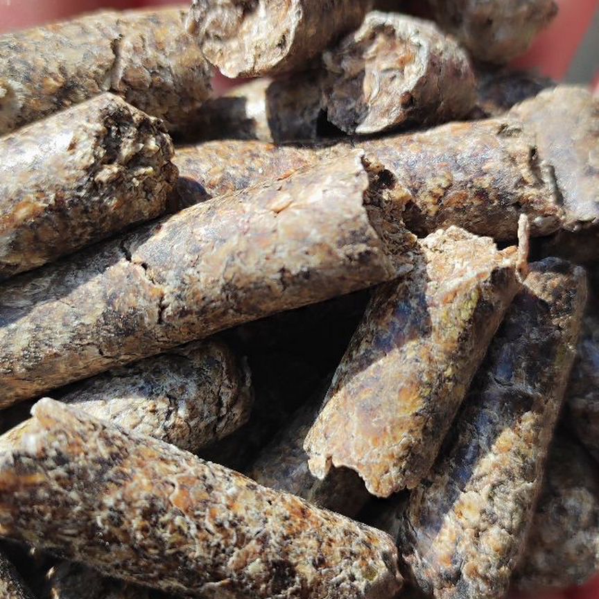 Жом свекловичный