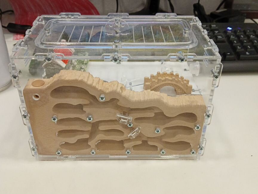 Муравьиная ферма