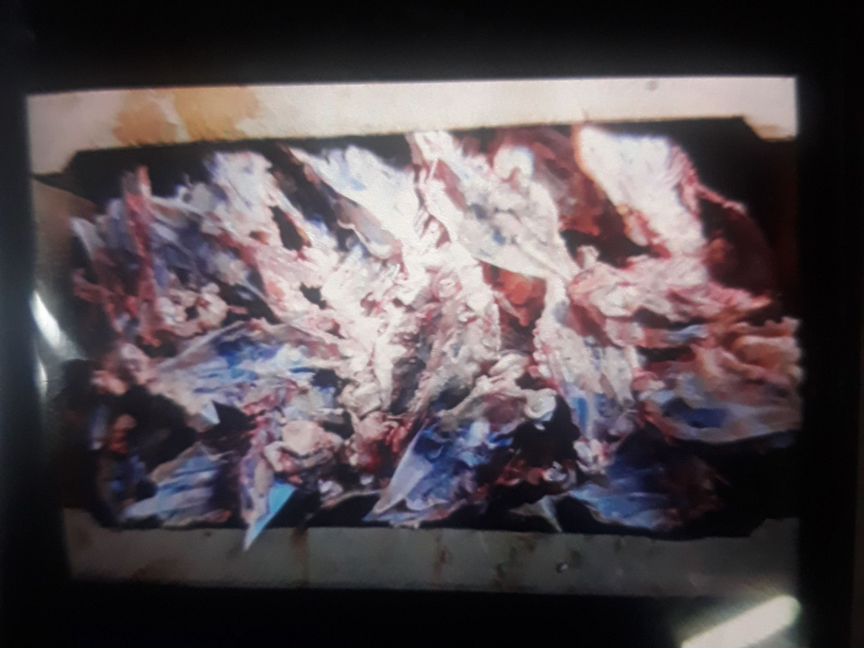 Куринние косты. Для собака