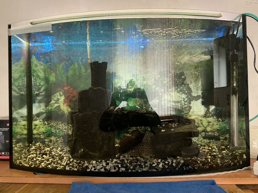 Аквариум