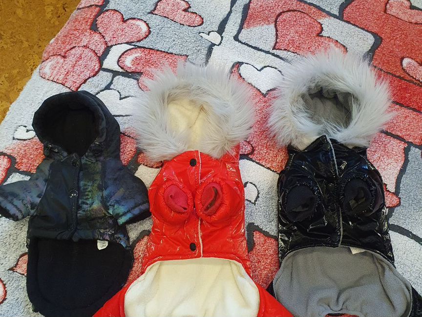 Комбинезон и куртка для собак мелких пород