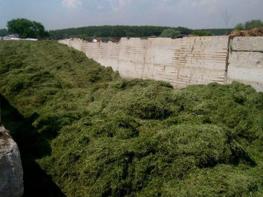 Сенаж травяной