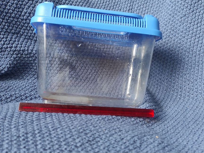 Мини аквариум переноска