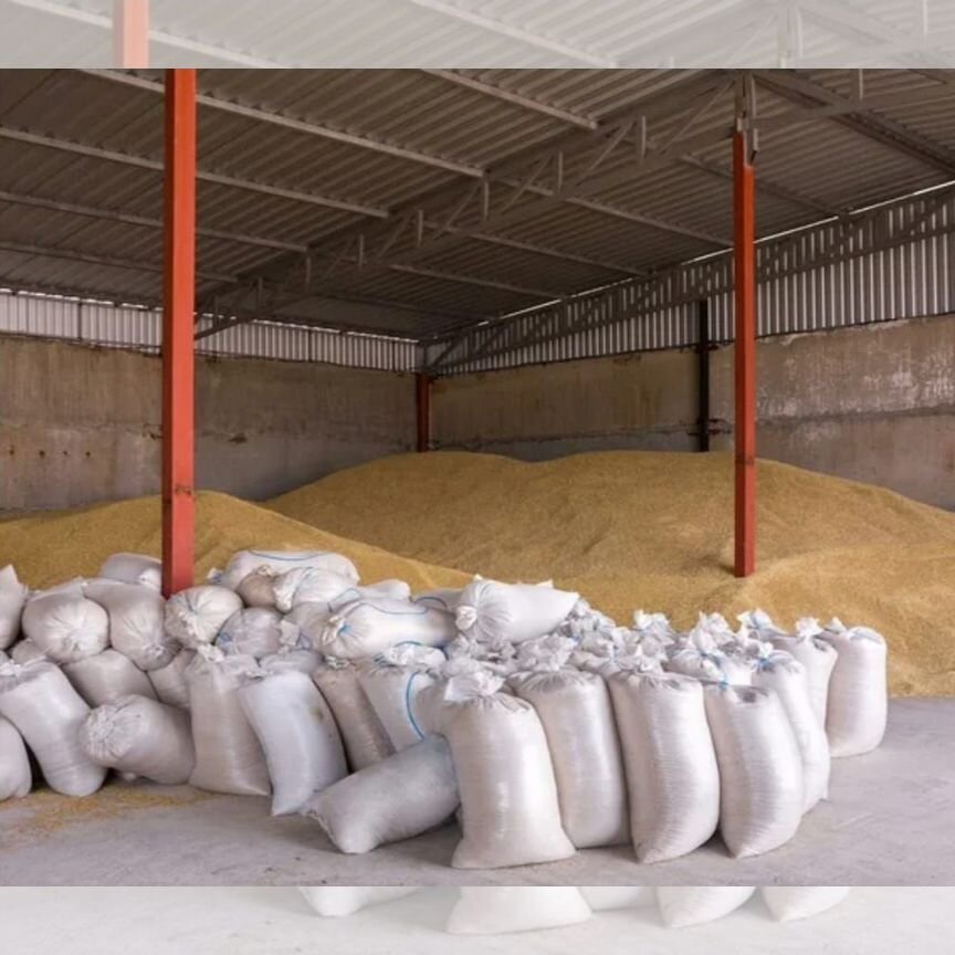 Зерно пшеница ячмень жом