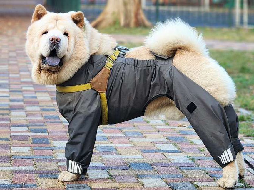 Дождевик для собак