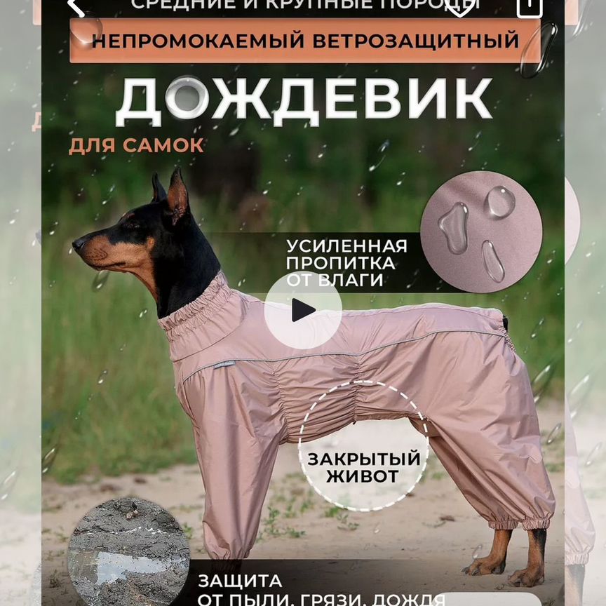Дождевик для собак