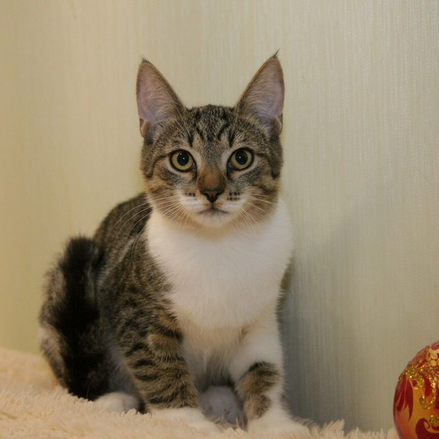 Машенька добрая супер ласкушенька