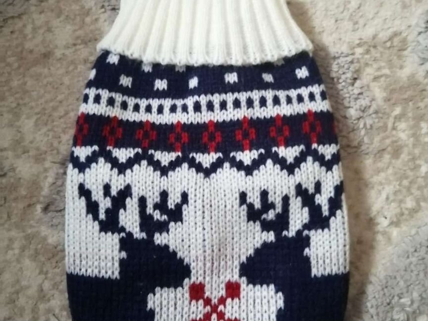 Одежда для собачек