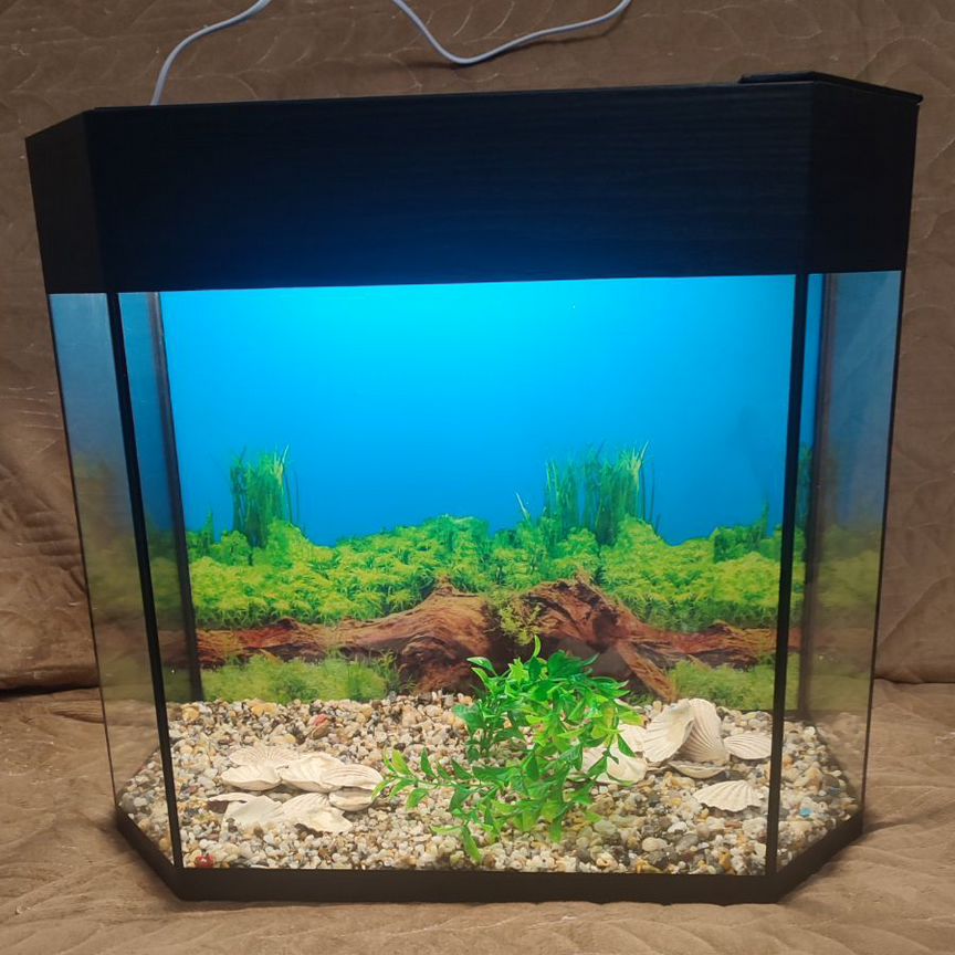 Аквариум панорамный