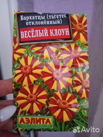 Рассада цветов Бархатцы купить в Екатеринбурге | Товары для дома и дачи ...