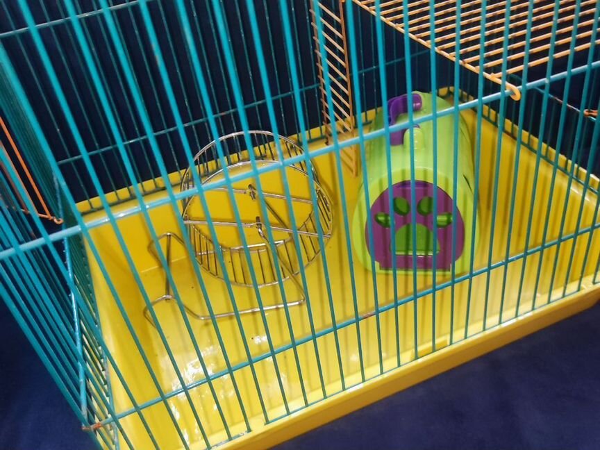 Клетка с колесом и супер домиком