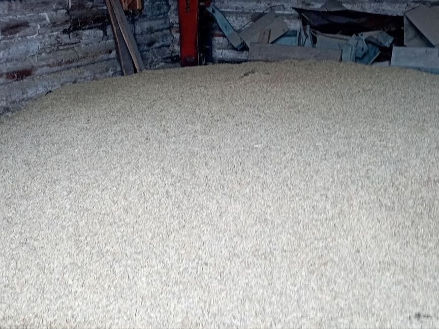 Зерноотходы на кормушку дик. живот