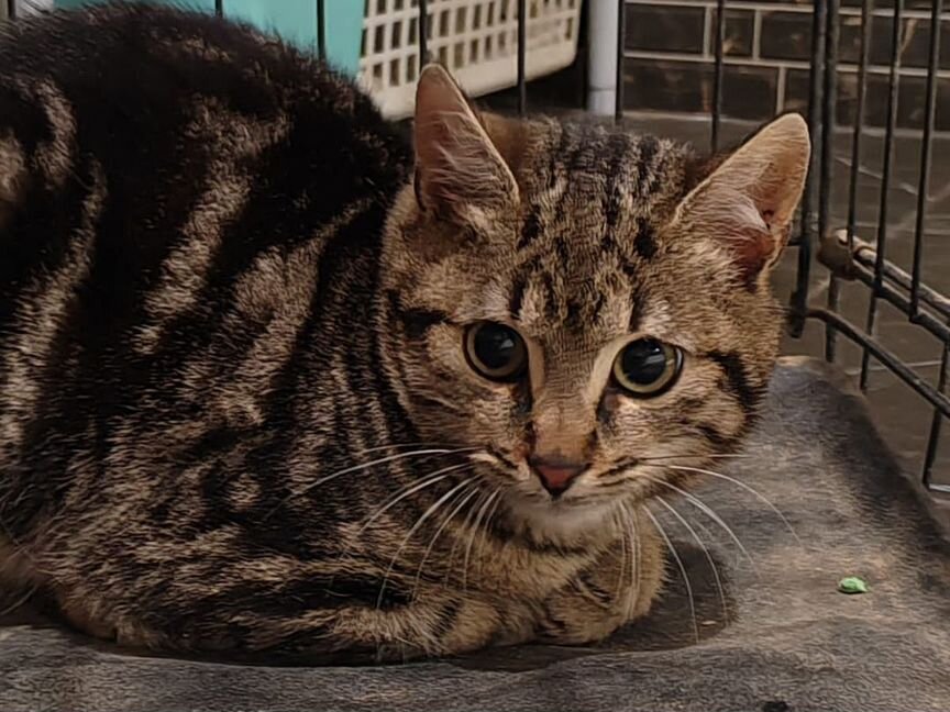 Малыша забыли встретить