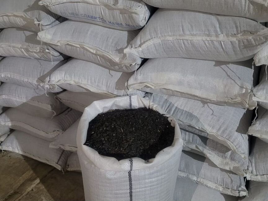 Семечки подсолнечника для птиц